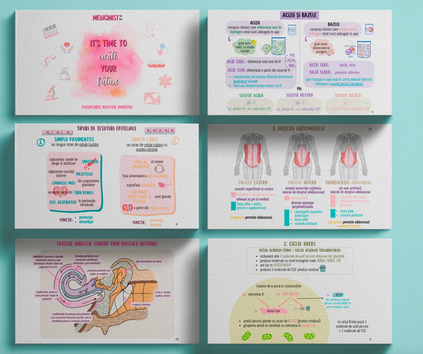 FLASHCARDS BARRONS – UMF CRAIOVA – No Panic
