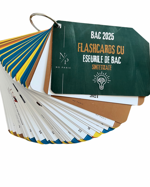 Flashcards cu eseurile de BAC sintetizate 2025 – No Panic